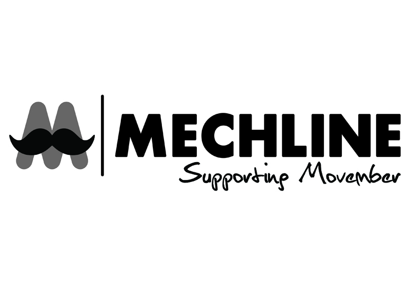 Vacancy: sales executive, Mechline