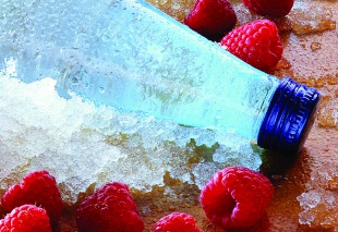 What is the price of ice?