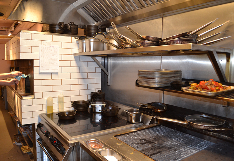 CCE creates adaptable egg