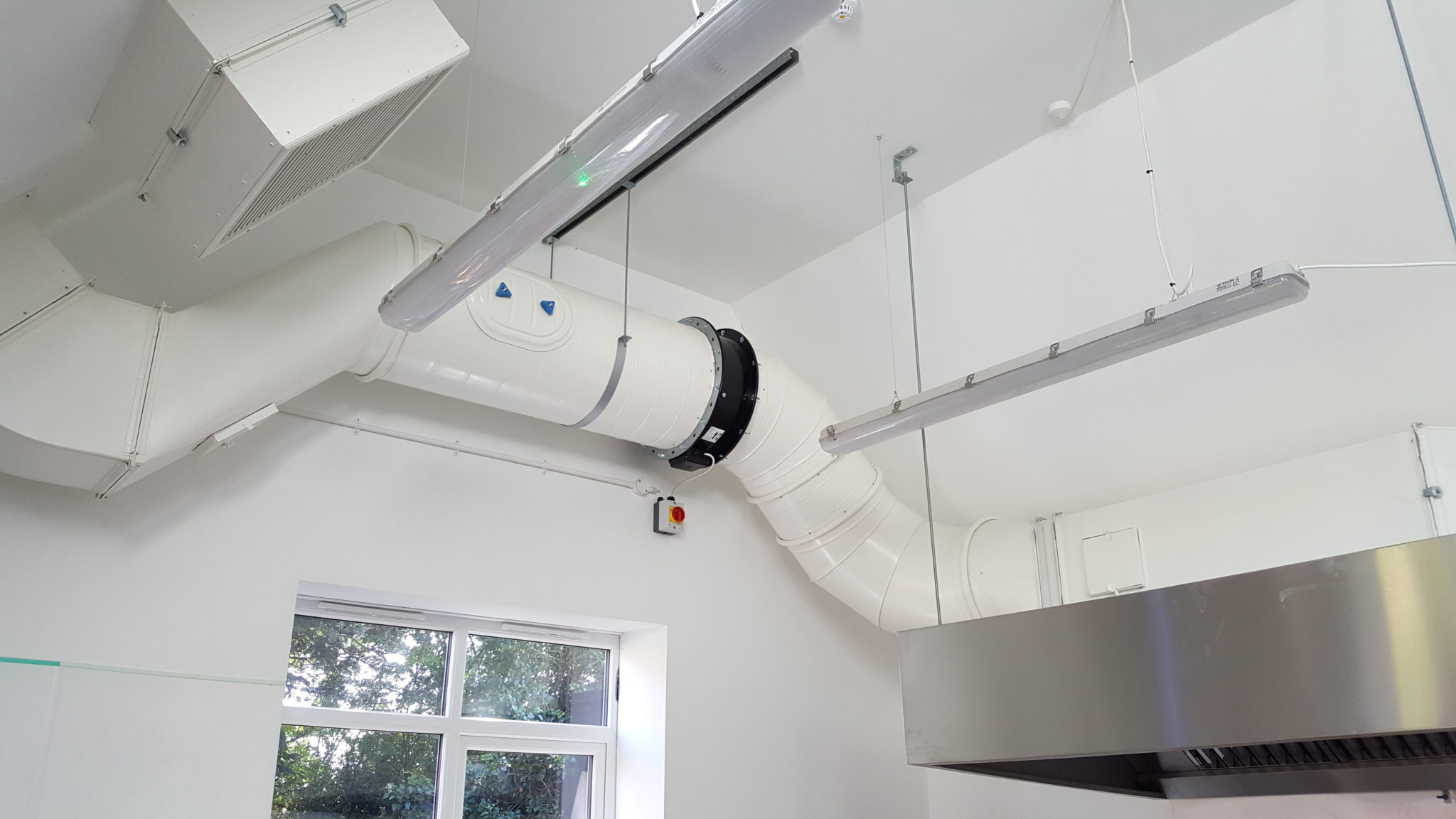 Abraxas has plenty at 20