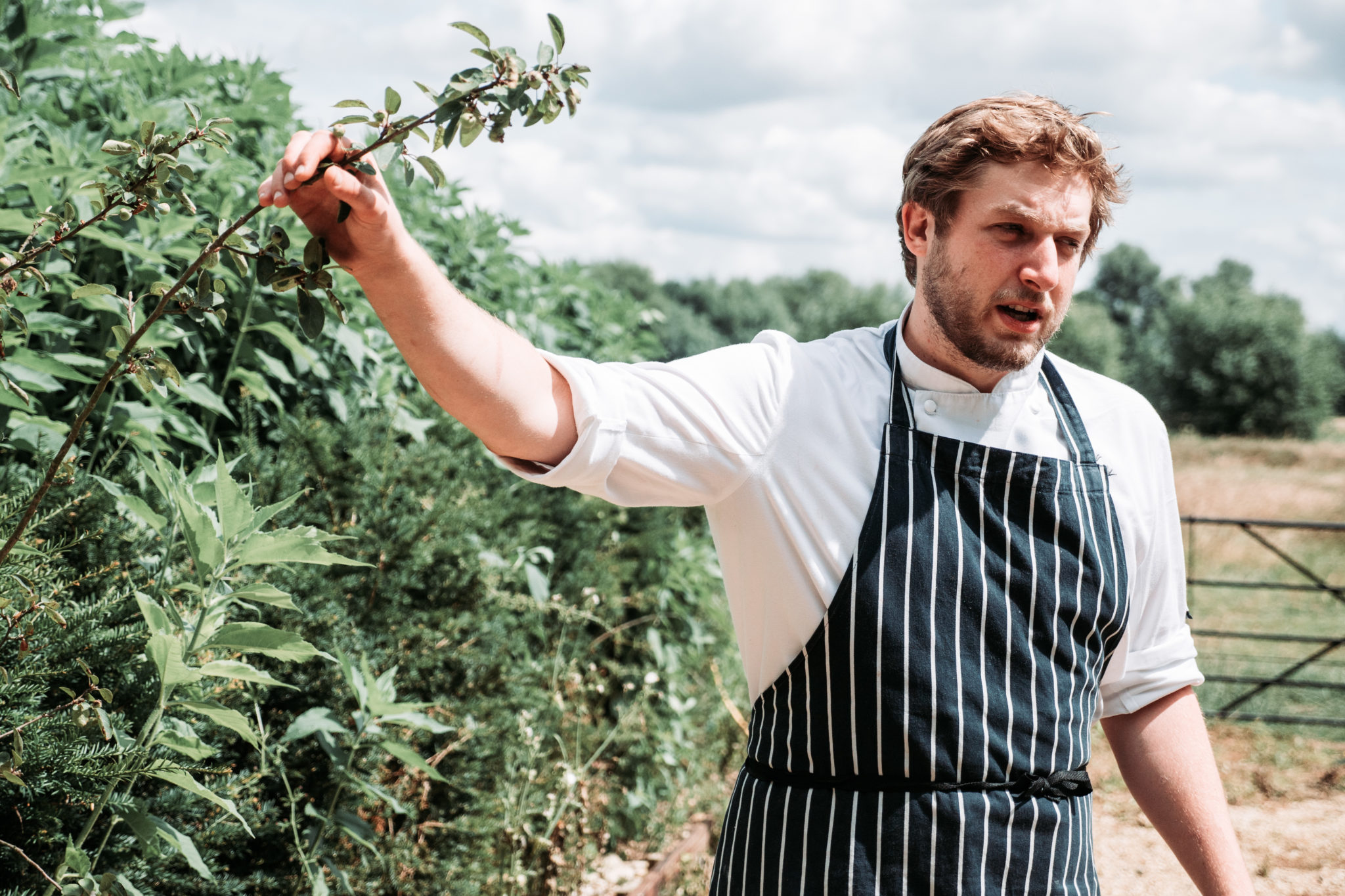 IN DETAIL: KCM takes scheme from barn to fork