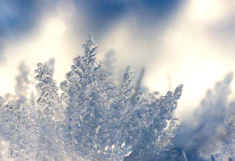 The best cold and bold, part 1