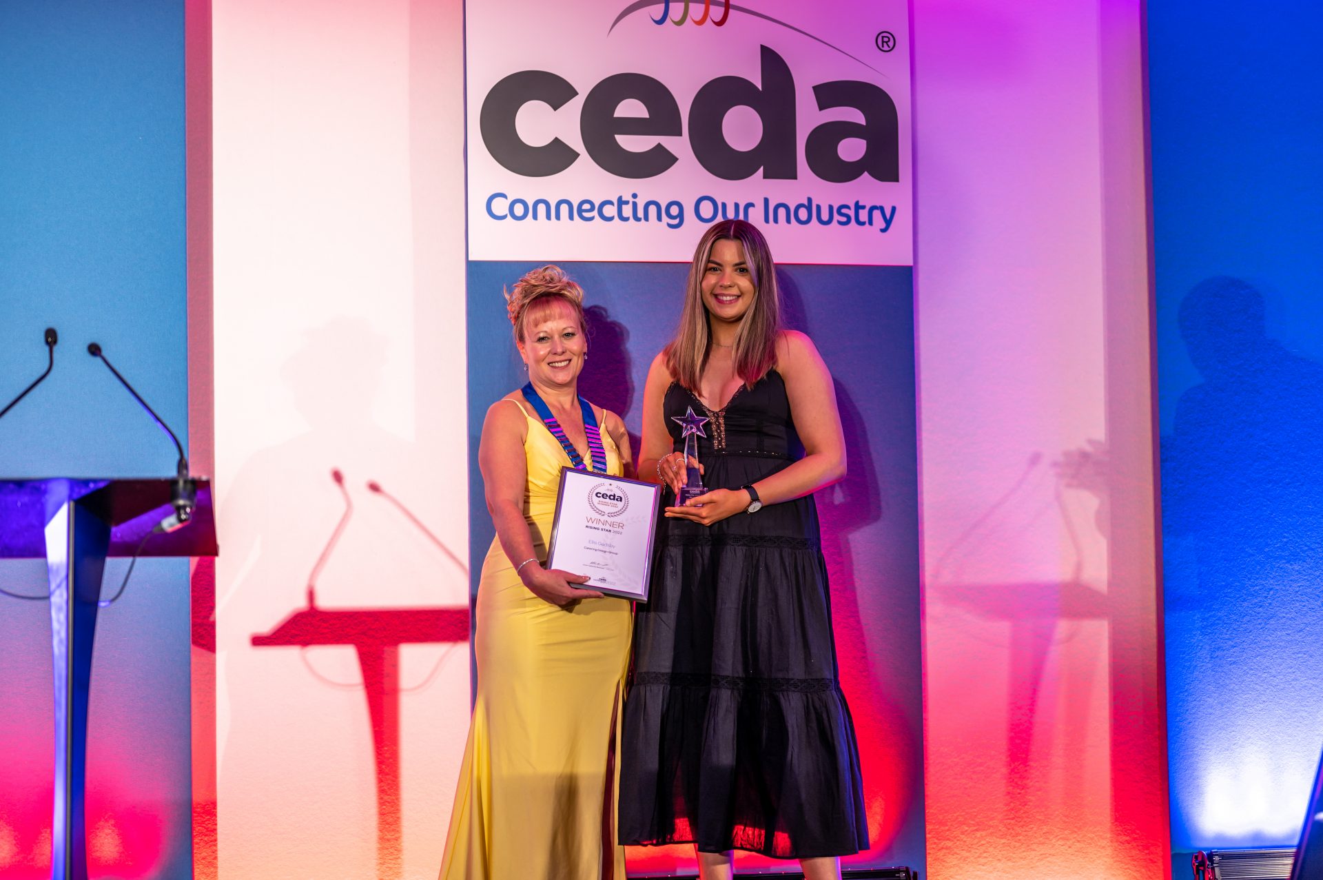 IN PICS: Distributor winners of top project awards at Ceda Conference