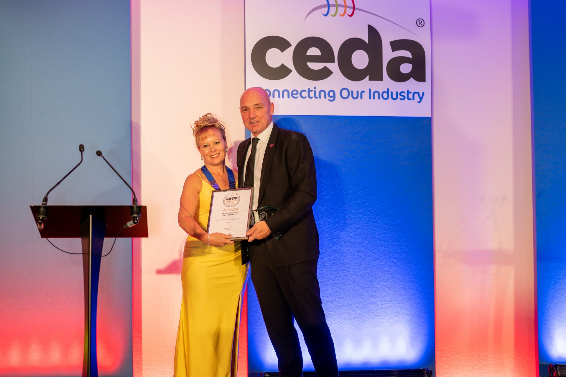 IN PICS: Distributor winners of top project awards at Ceda Conference