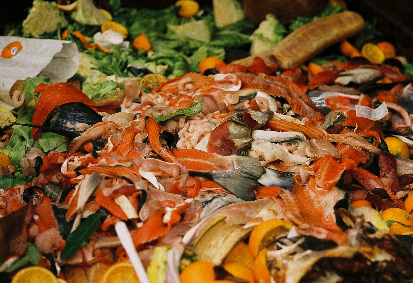 What tools are available to UK firms aiming to cut food waste?