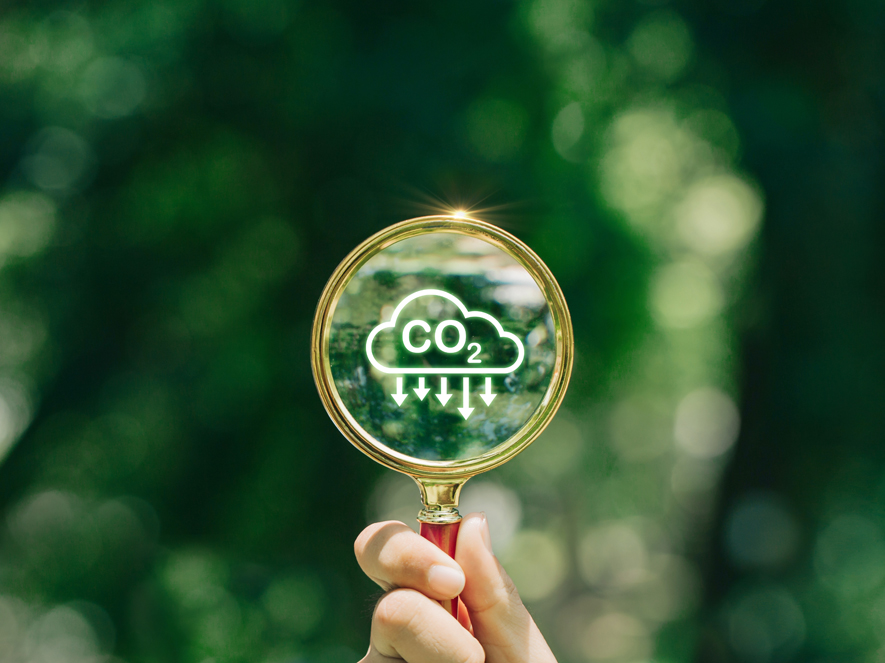 FEA launches embodied carbon portal, confirms talks with other bodies